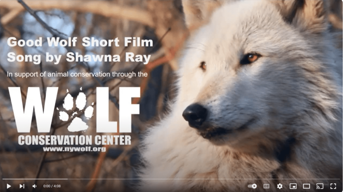 Good Wolf – shawnaray.com
